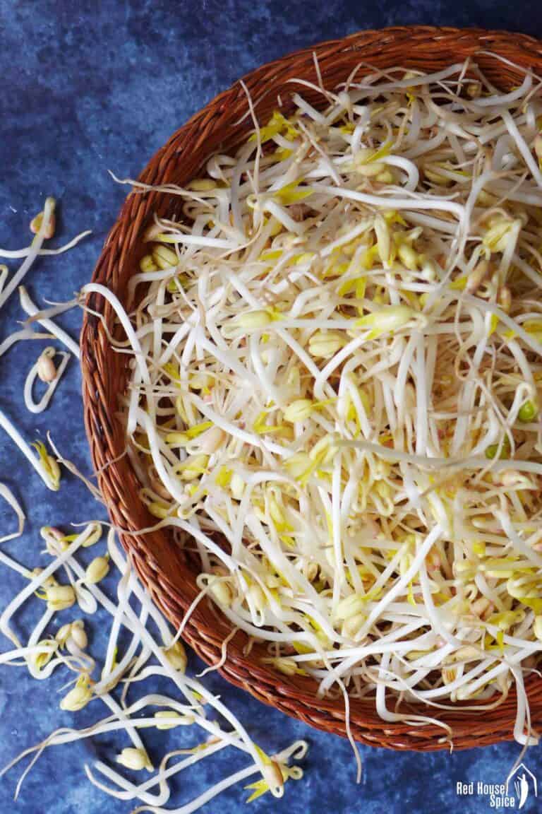 Mung bean sprouts: Homegrown guide & a stir-fry recipe - Red House Spice