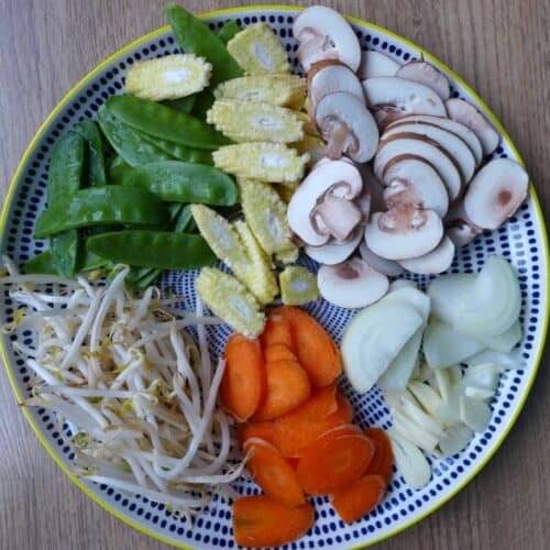 Chicken Chop Suey (with an easy stir-fry sauce) - Red House Spice
