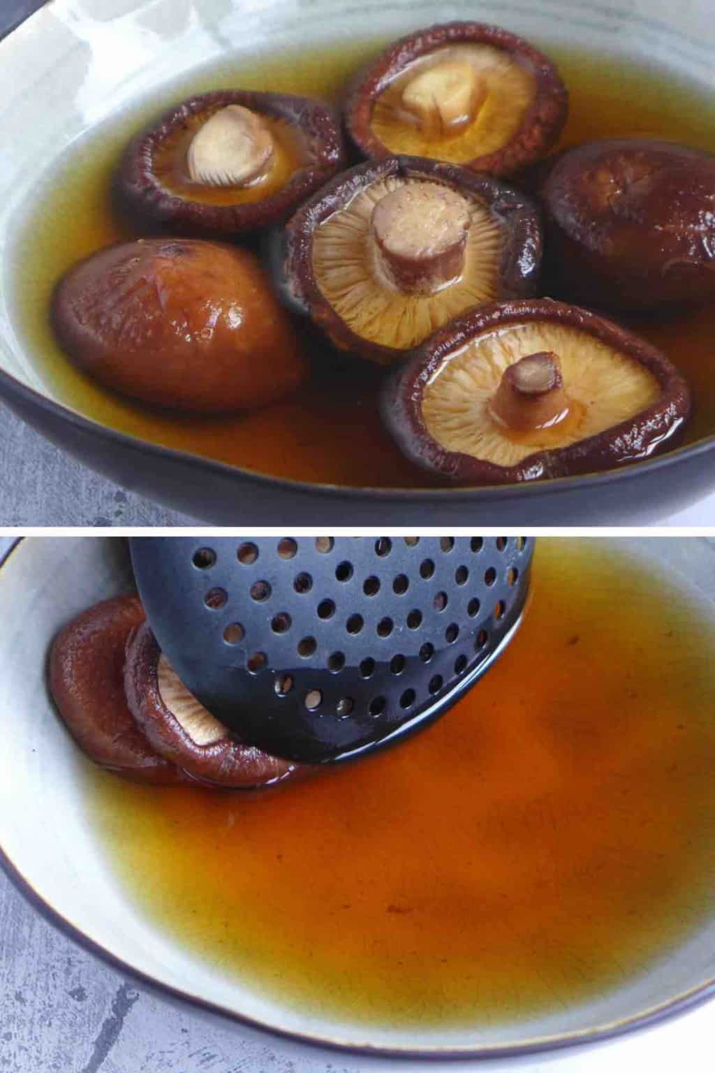 Shiitake Mushrooms, A Complete Guide - Red House Spice