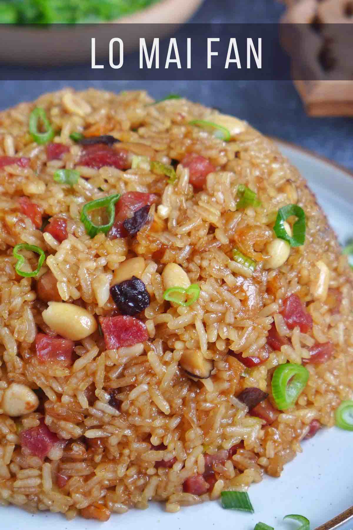 Chinese Sticky Rice (Lo Mai Fan/糯米饭) - Red House Spice